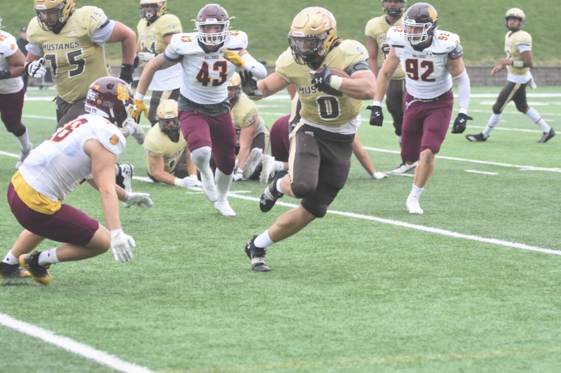 Early errors doom SMSU in loss to No. 23 Duluth | News, Sports, Jobs ...